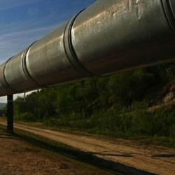 ASTM A335 Alloy Steel P1 Pipes - LG Pipes And Tubes